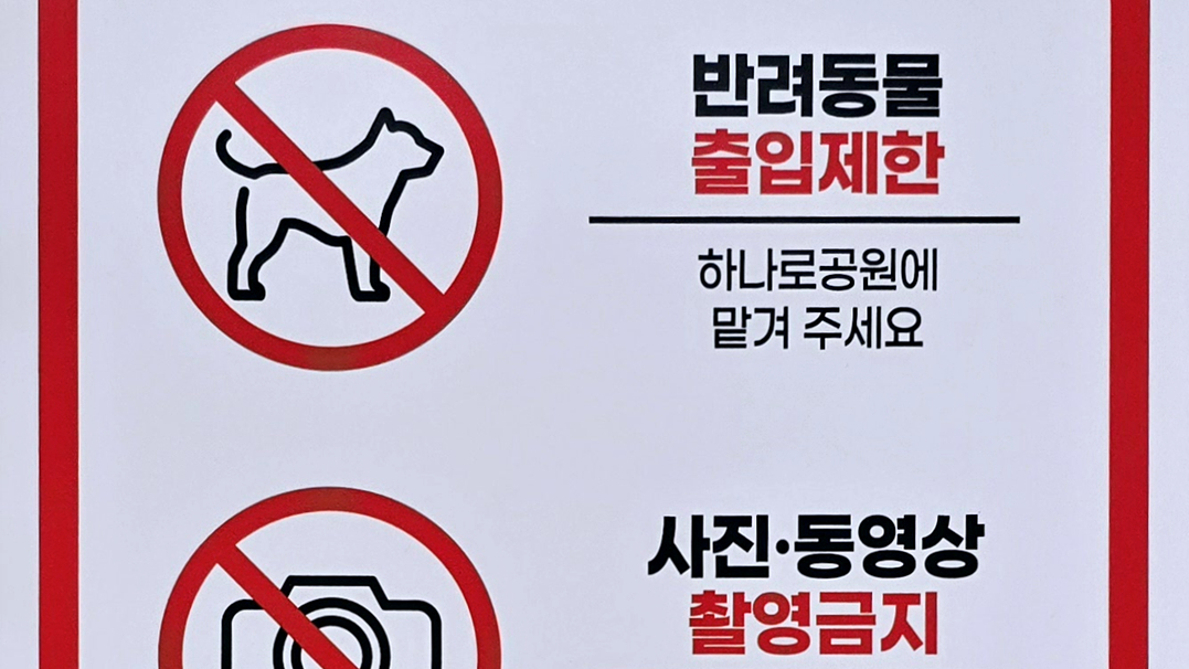 농협 하나로마트 양재점 영업시간 휴무일 주차 맛집 강아지 동반 ★ 솔직리뷰 ~ 여행 맛집 전시 공연