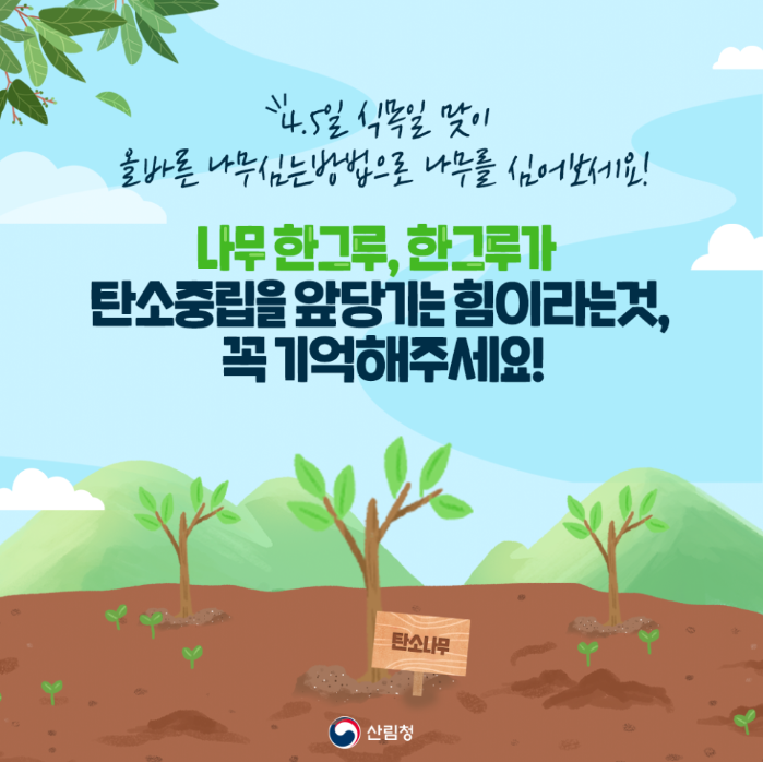 식목일의 개요와 유래 공휴일 지정 그리고 나무심는 방법