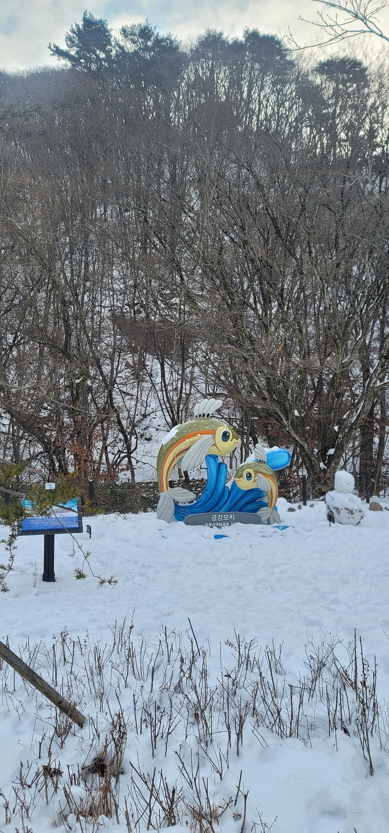무주 덕유산 구천동 등산코스 덕유산 설경구천동주차장 향적봉 설천봉 곤도라 하산