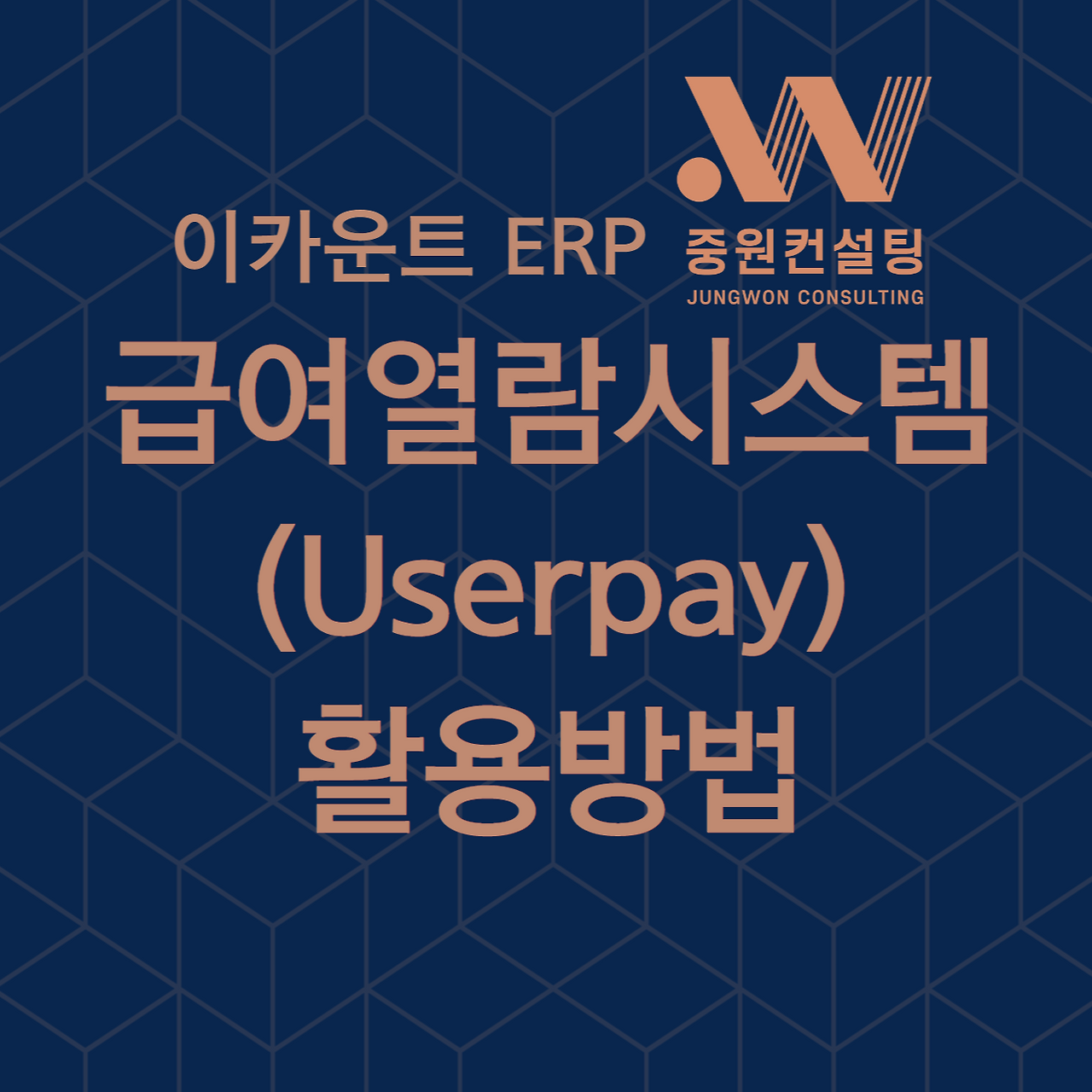 이카운트 Erp 컨설팅 급여명세서 열람 시스템 User Pay