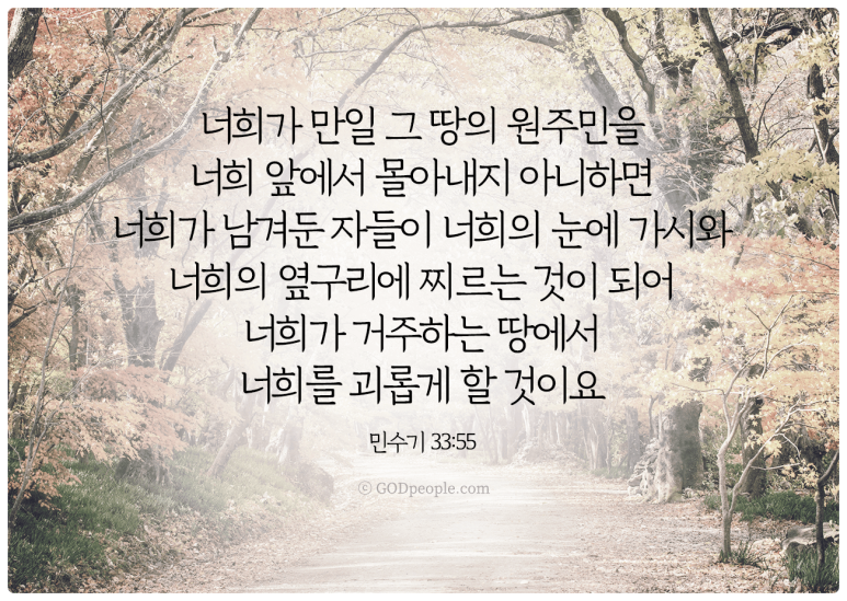 너희가 만일 그 땅의 원주민을 너희 앞에서