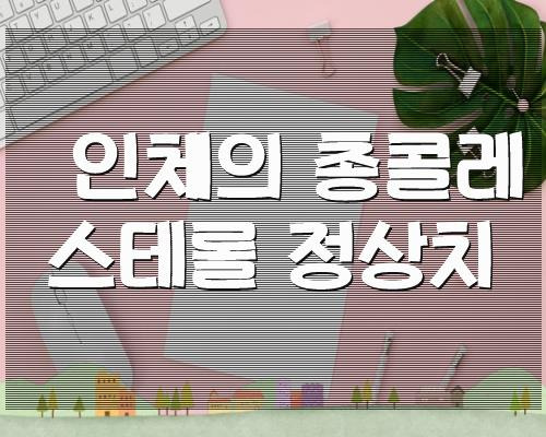 인체의 총콜레스테롤 정상치
