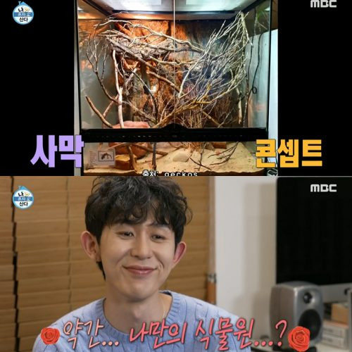나혼자 산다 살찐 코드 쿤스트 먹방 시청률 상승