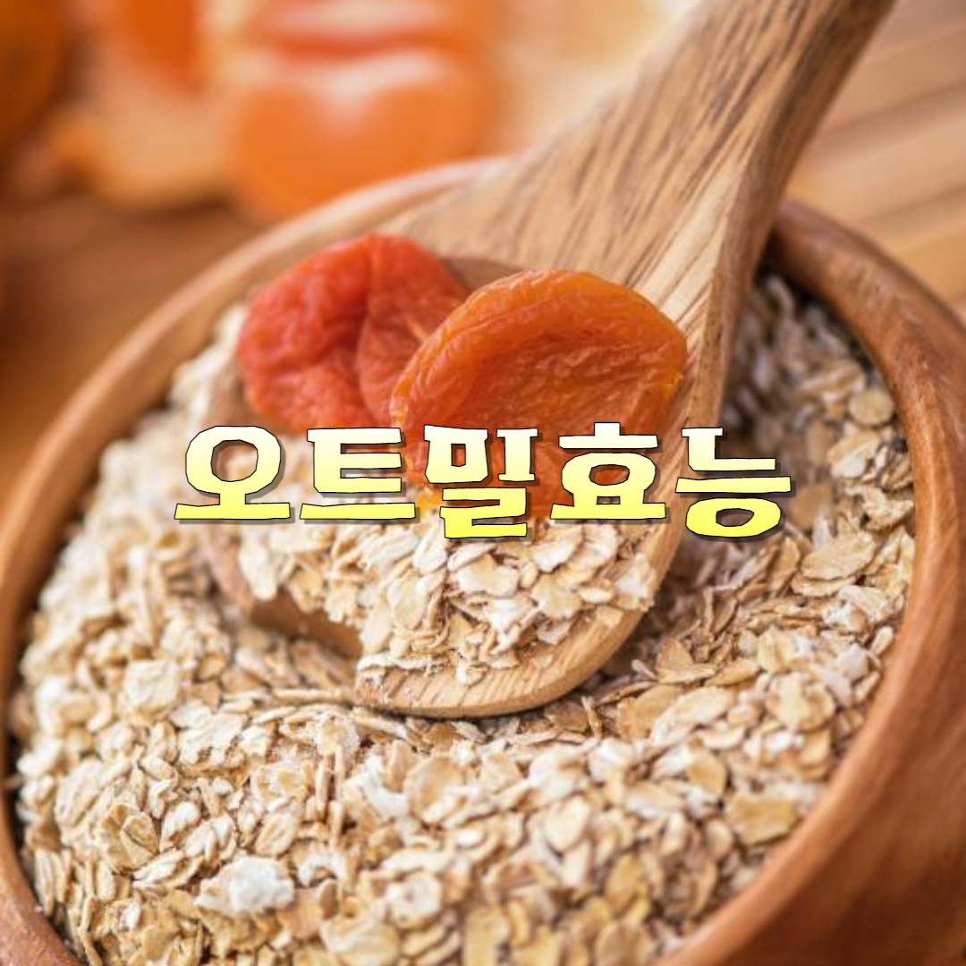 오트밀 효능 영양성분 고르는 법 부작용