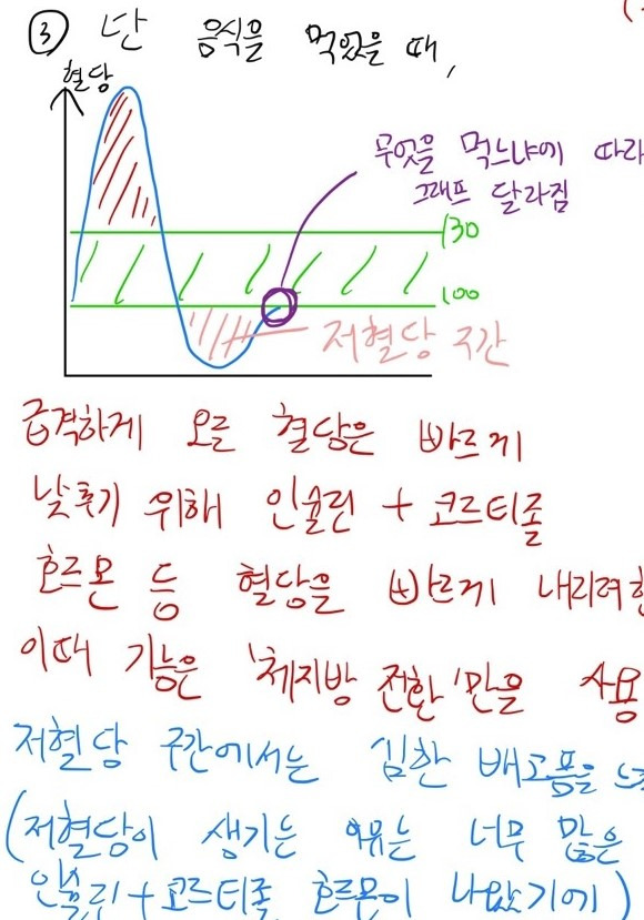 혈당 수치 그래프 식사 전 후 음식별 혈당 변화