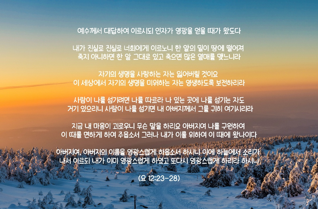 한 알의 밀이 땅에 떨어져 죽지 아니하면 한 알 그대로 있고 죽으면 많은 열매를 맺느니라