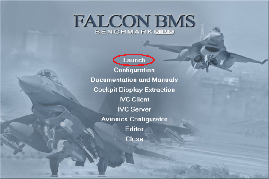 Falcon 4.0 BMS - 설정