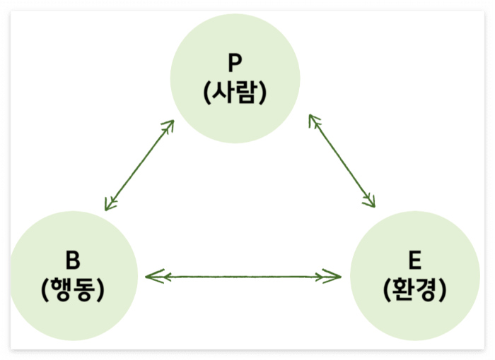 반두라의 주요 개념관찰학습 등 이론의 평가반두라의 사회학습이론 ②