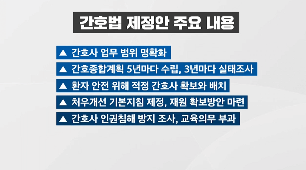 간호법 내용 간호법 반대 이유