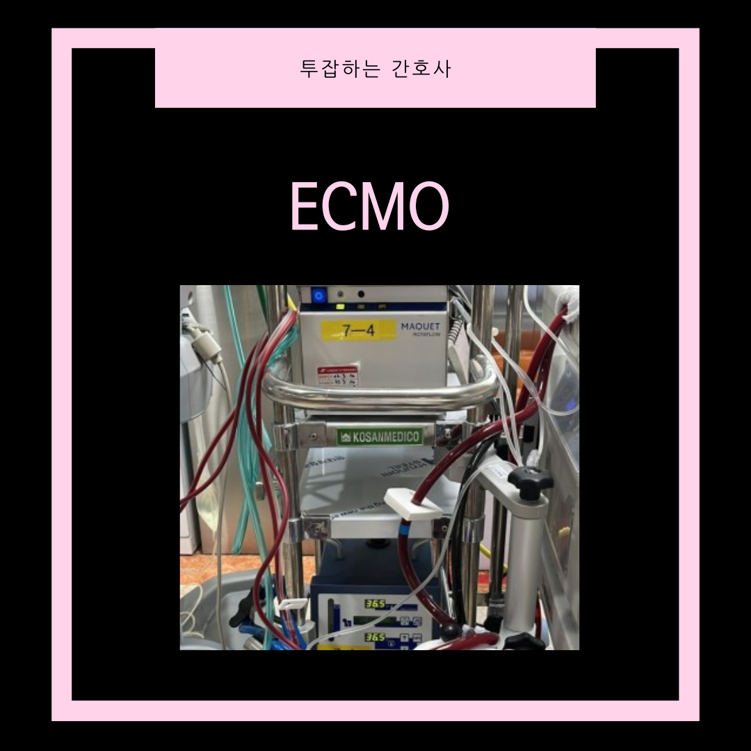 ROSC , ECMO , TTM 의학용어에 대하여 알아볼게요. :: 투잡하는 간호사