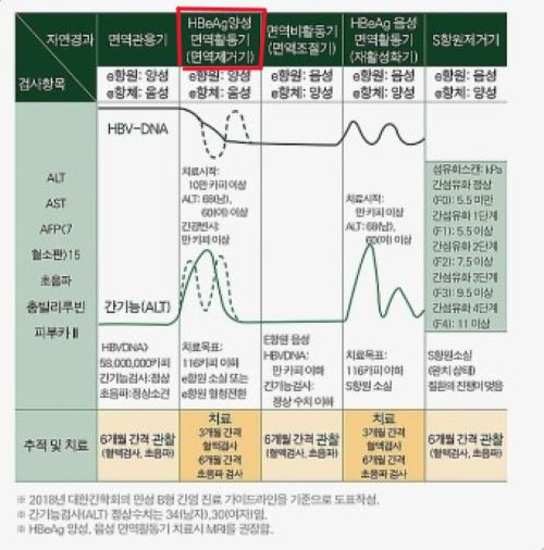 B형 간염 환자는 100 간경변 간암으로 진행하는가