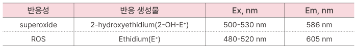 [신제품] OxiTec™ Cellular ROS Detection Kit-DHE (Fluorometric)