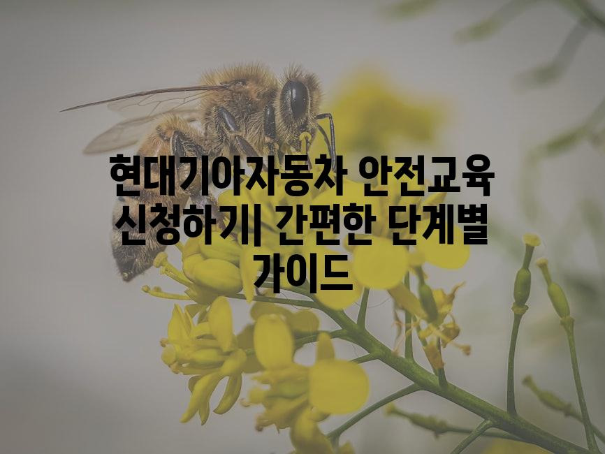 현대기아자동차 안전교육 신청하기 간편한 단계별 가이드
