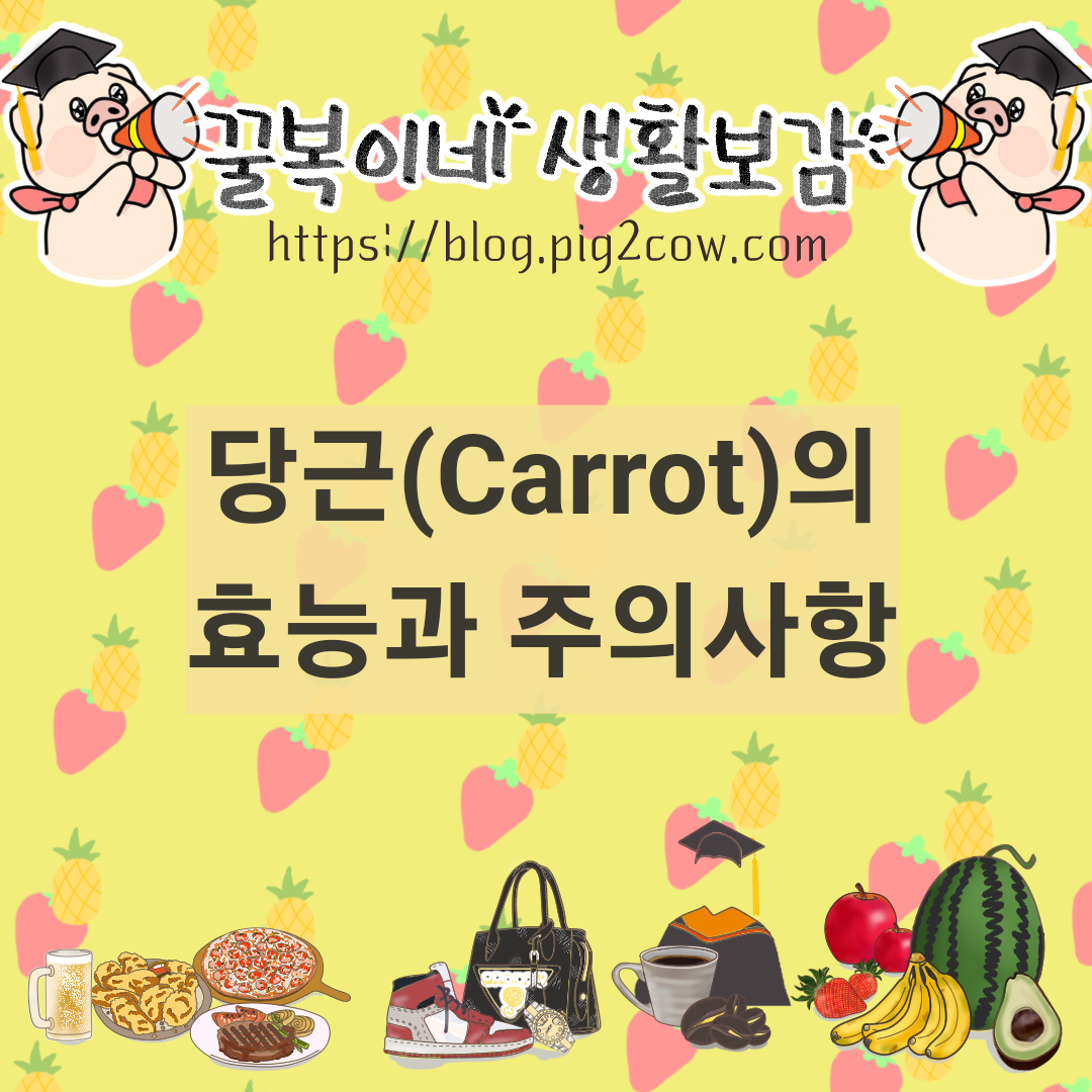 당근 영양소 성분 효능 주의사항carrot