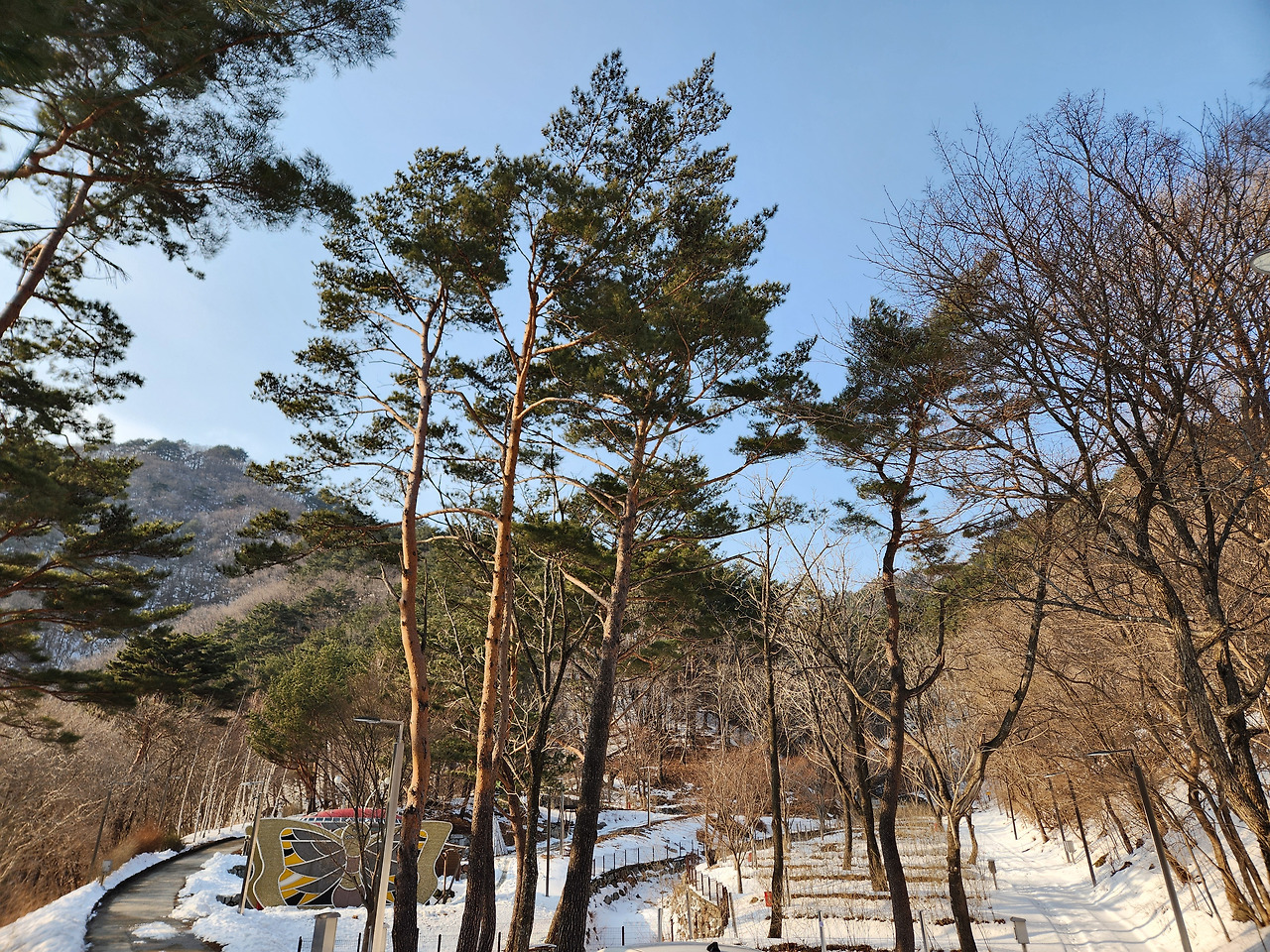 강원도 캠핑장 추천 차박and계곡 인제 진동리국민여가캠핑장