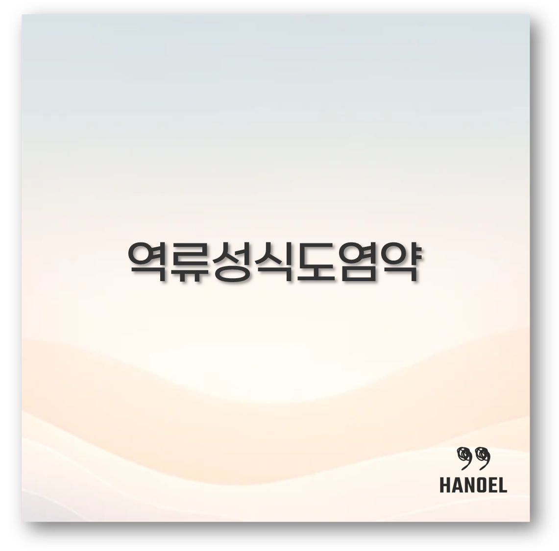 역류성 식도염 약 복용법부터 변비 설사 부작용까지 일본 약과 비교하며 꼭 알아두세요