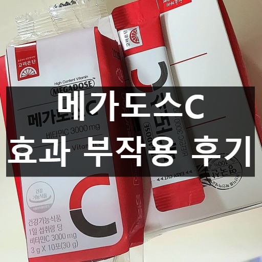 메가도스 비타민c 메가도스c 효능 효과 부작용 내돈내산 특징