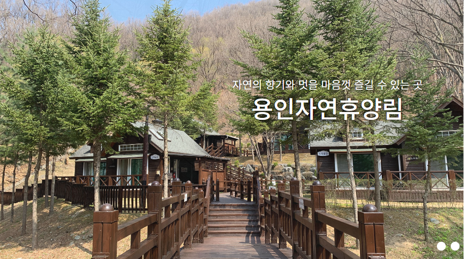 용인 자연휴양림 예약 방법 입장료 프로그램짚라인 패러글라이딩 가격 궁금하시다면 클릭