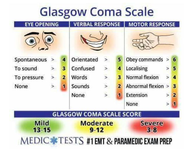 글래스고 혼수 척도 Glasgow Coma Scale Gcs
