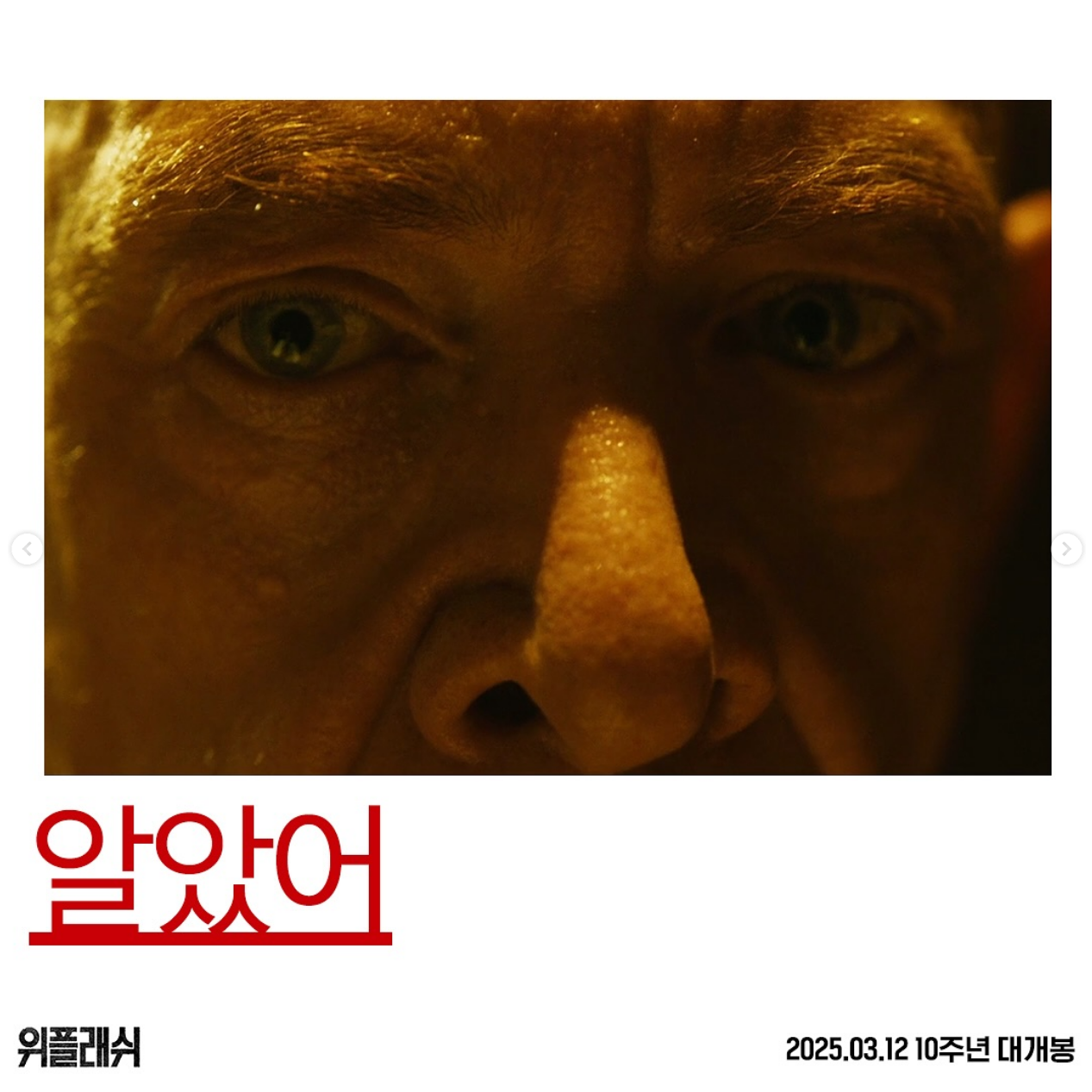 [월간 2025밈] 03월 편 - 25년이 1/4나 지났다고? 몰랐어. HSAD 공식 블로그 HSADzine