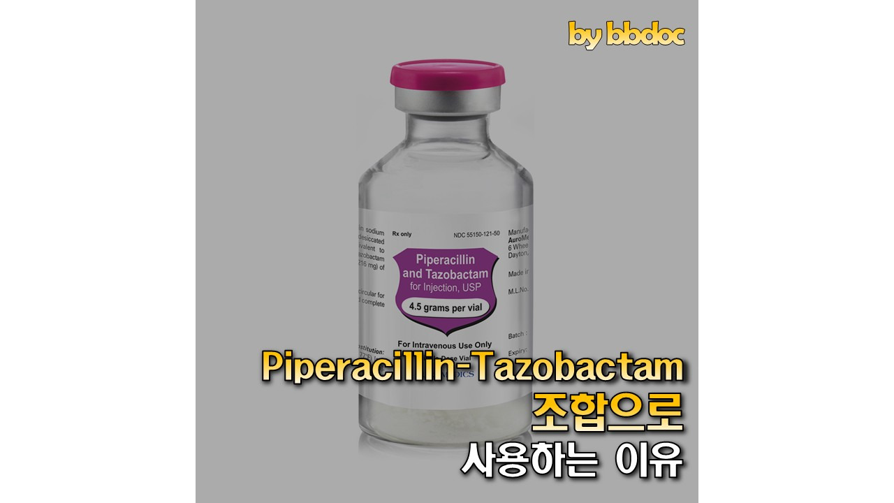 Piperacillin-Tazobactam 조합으로 사용하는 이유