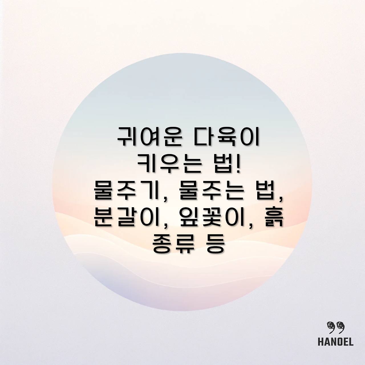귀여운 다육이 키우는 법 물주기 물주는 법 분갈이 잎꽃이 흙 종류 등