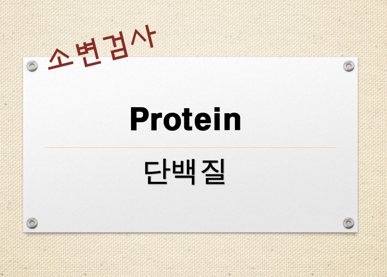 소변검사 단백질 프로테인 신장의 기능과 전반적 건강상태 확인 남성의학클리닉