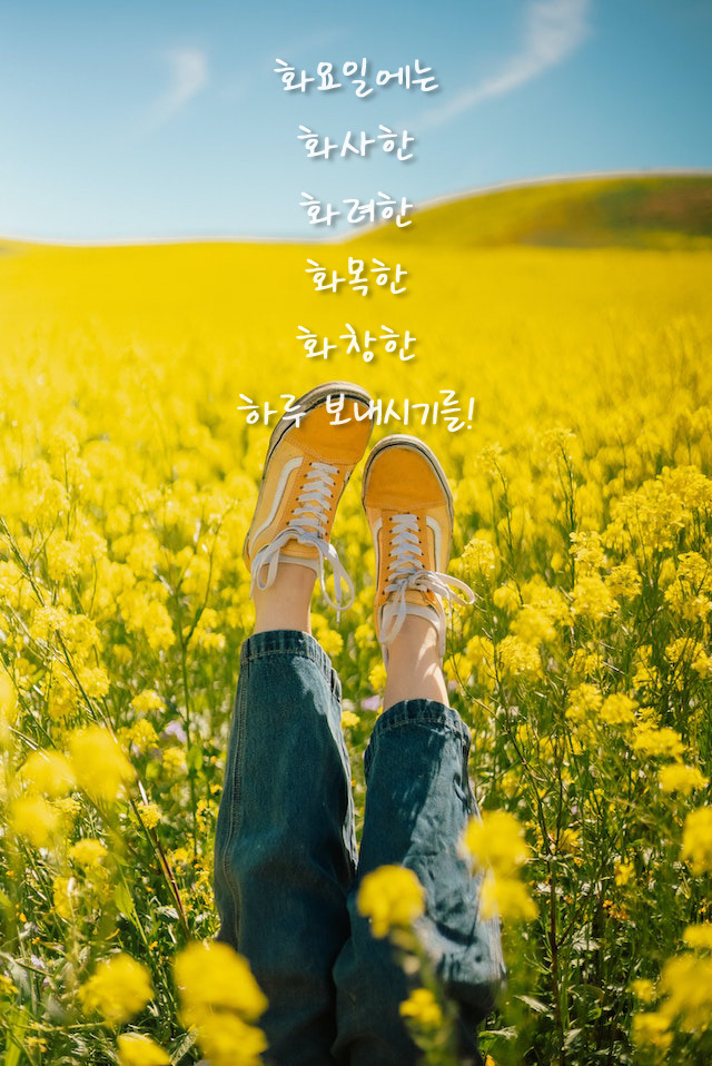 월요일 아침 인사말 화요일 인사말 이미지 문구