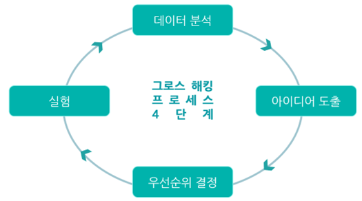 그로스 해킹growth Hacking전략으로 알아보는 데이터 분석 Hsad 공식 블로그 Hsadzine