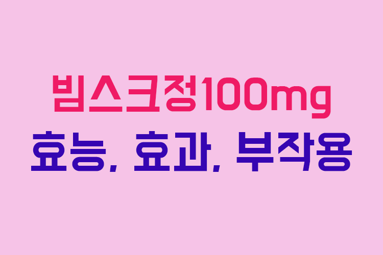 빔스크정100mg 효능 효과 투여방법 부작용 주의사항 알아보기