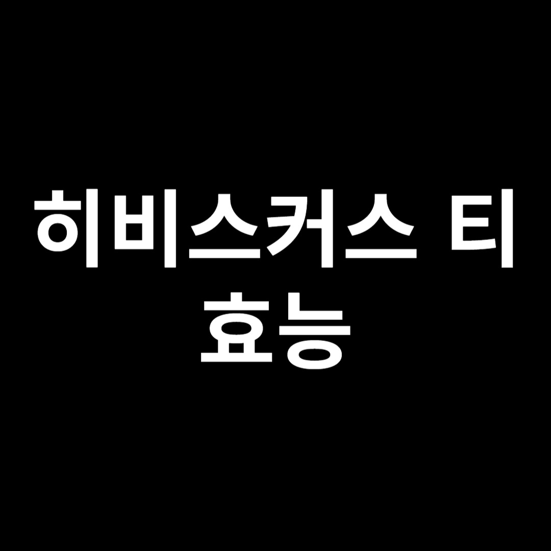 히비스커스 티 효능 건강에 좋은 이유와 올바른 섭취 방법