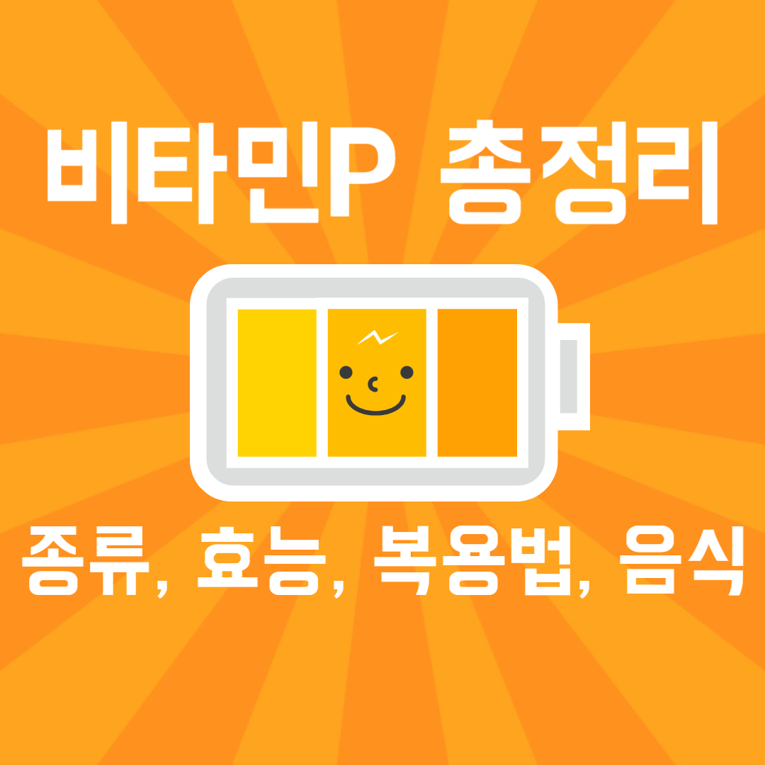 비타민 P 총정리 특징 종류 플라보노이드 음식 이점 부작용