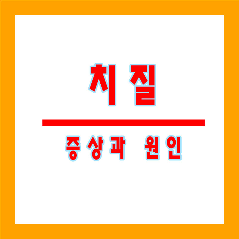 치질 치열 치핵 치루 증상 및 원인 치료 예방 방법