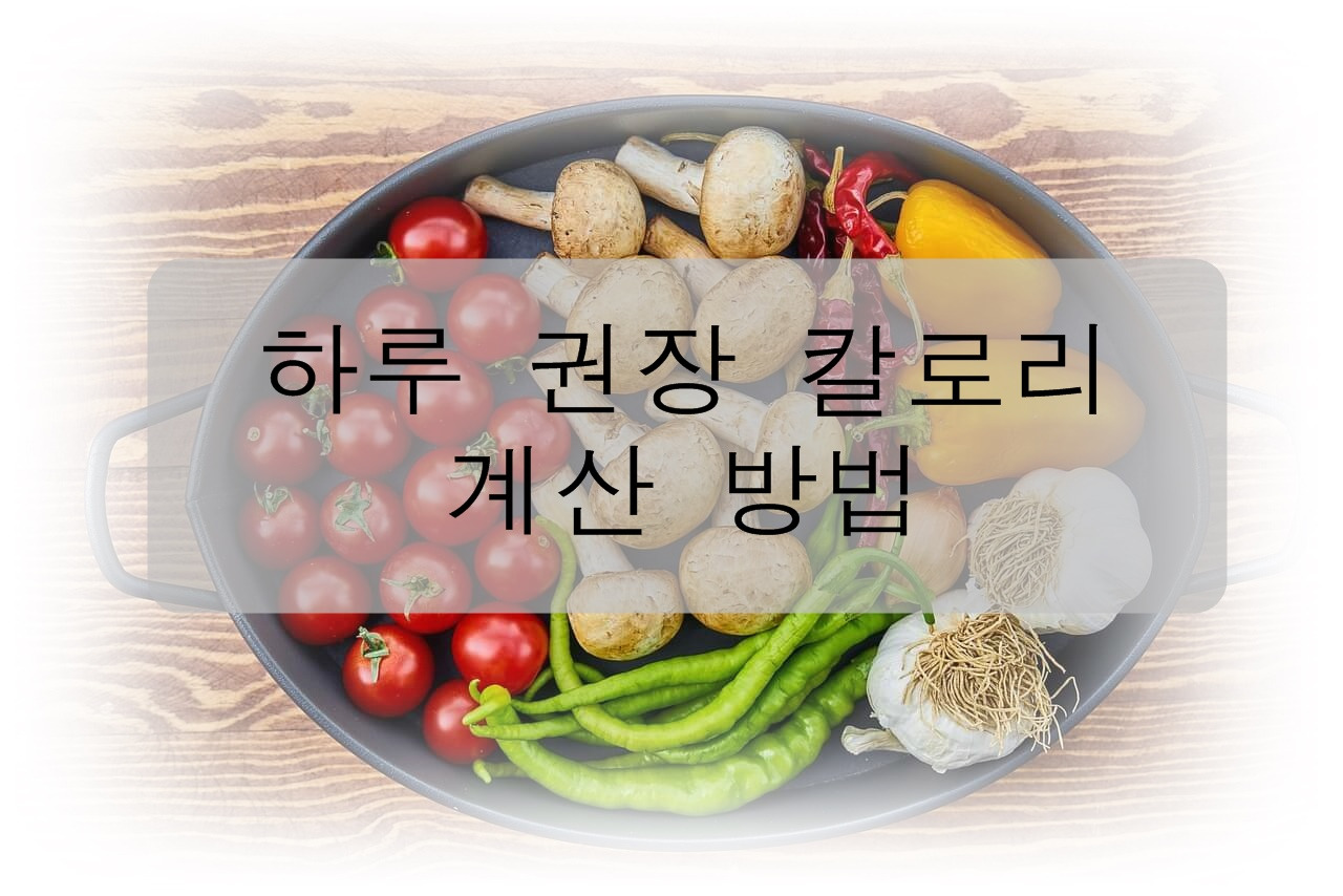 하루 권장 칼로리 계산 방법 기초대사량 활동량