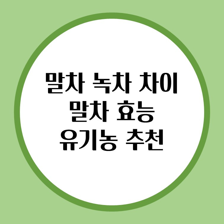 말차 녹차 차이점 말차의 효능 먹는법 유기농 제주 우지 말차가루 파우더 추천