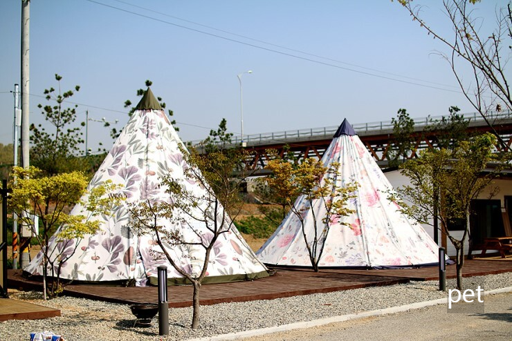 경기 연천 캠핑브릿지캠핑장 예약 방법 애견 동반 가격 주소 시간 후기 댕댕캠핑 전국 애견동반 캠핑장