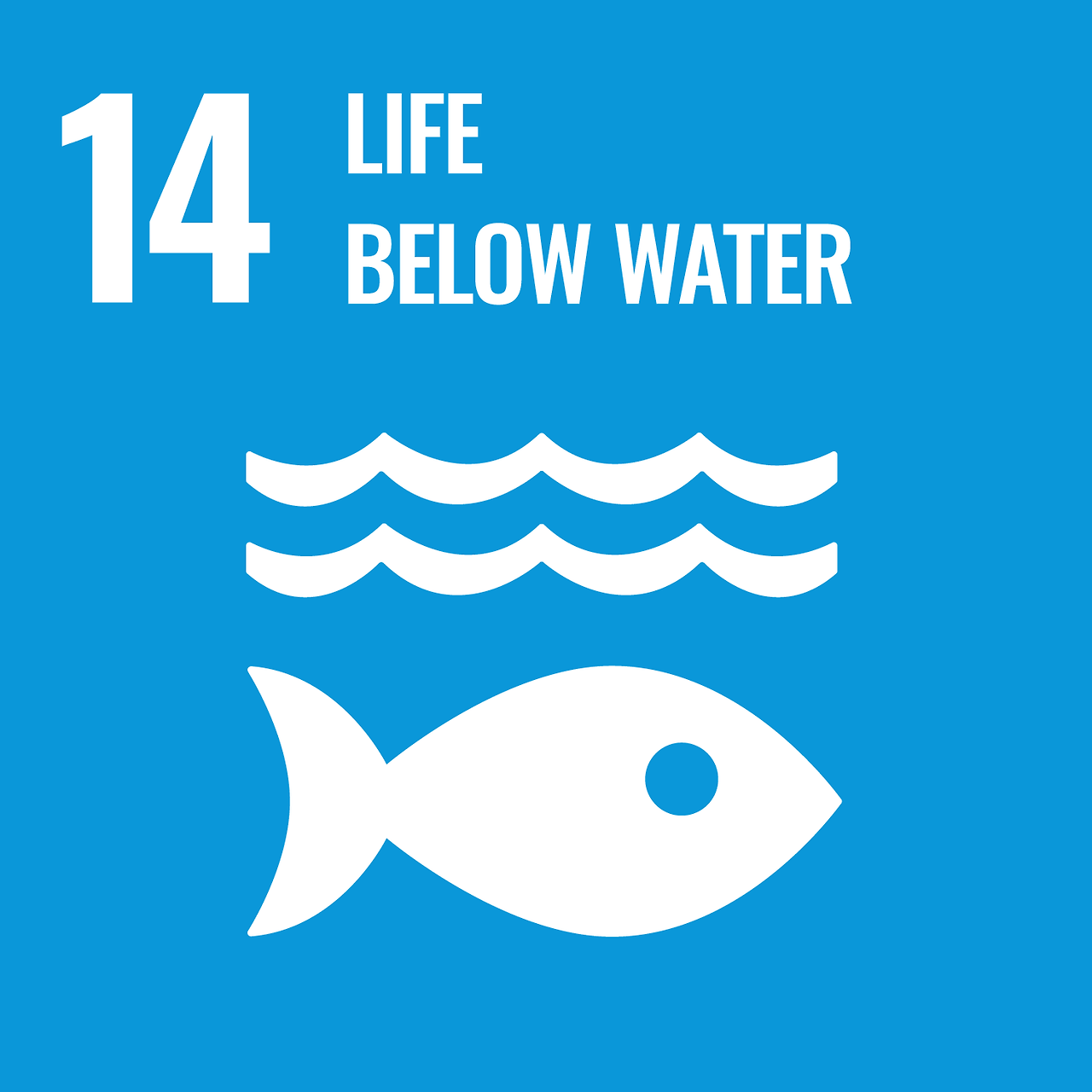 Un Sdgs 설명 목표14 해양 생태계 보호 지속가능한 발전을 위한 대양 바다 해양자원을 보호하고 지속가능하게 이용한다