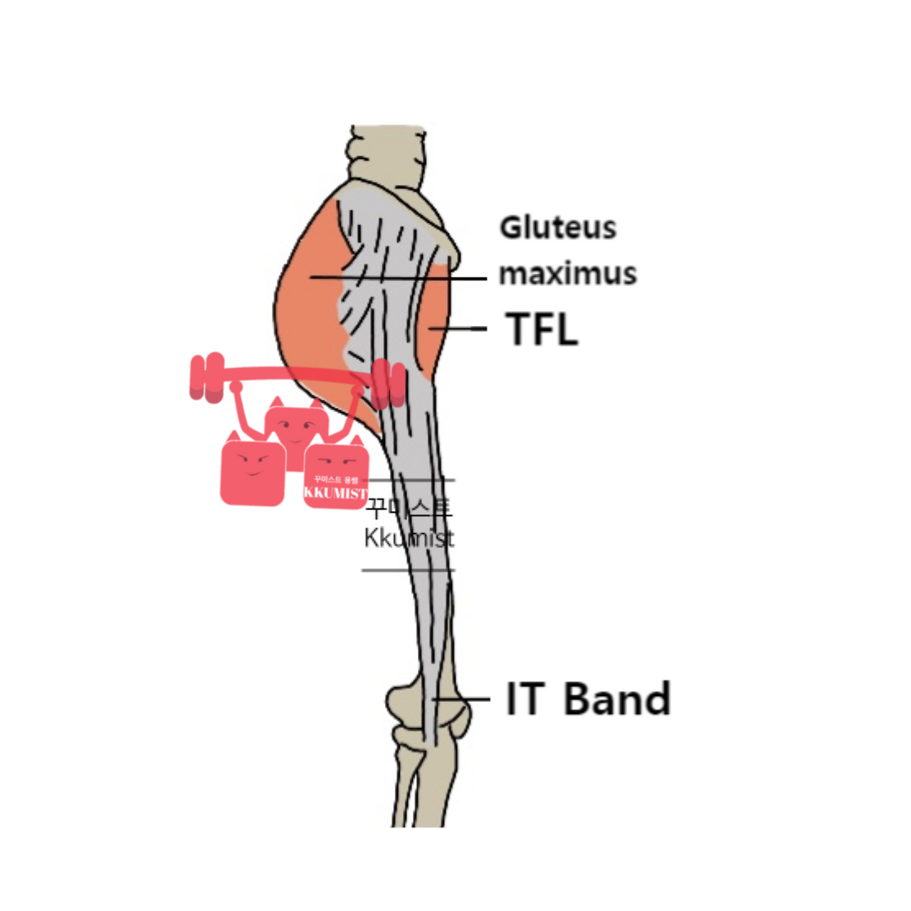 장경인대it Band 증후군의 증상과 원인 그리고 재활운동 방법무릎 바깥쪽 통증