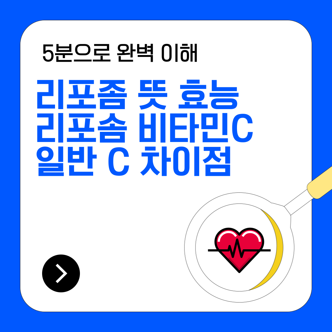 리포좀 뜻 효능 리포솜 비타민c 차이점 비교해봤어요