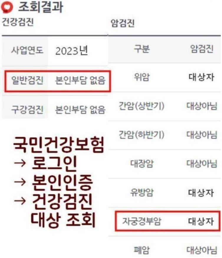 자궁경부암 주사 무료접종 대상 조회 스터디업