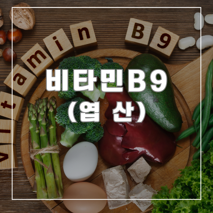 비타민 알고 먹자 시리즈 비타민b군 비타민b9엽산의 역할 및 결핍 증상 비타민b9엽산이 풍부한 음식