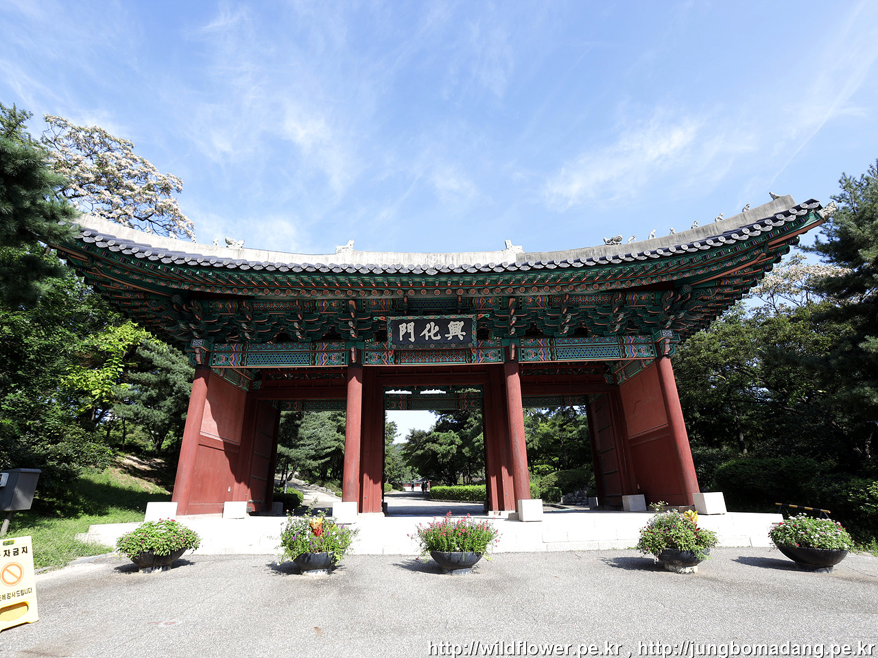 추석 명절 무료 개방 조선 5대 궁궐경희궁 덕수궁 경복궁 창경궁 창덕궁 방문기 2022 09 12