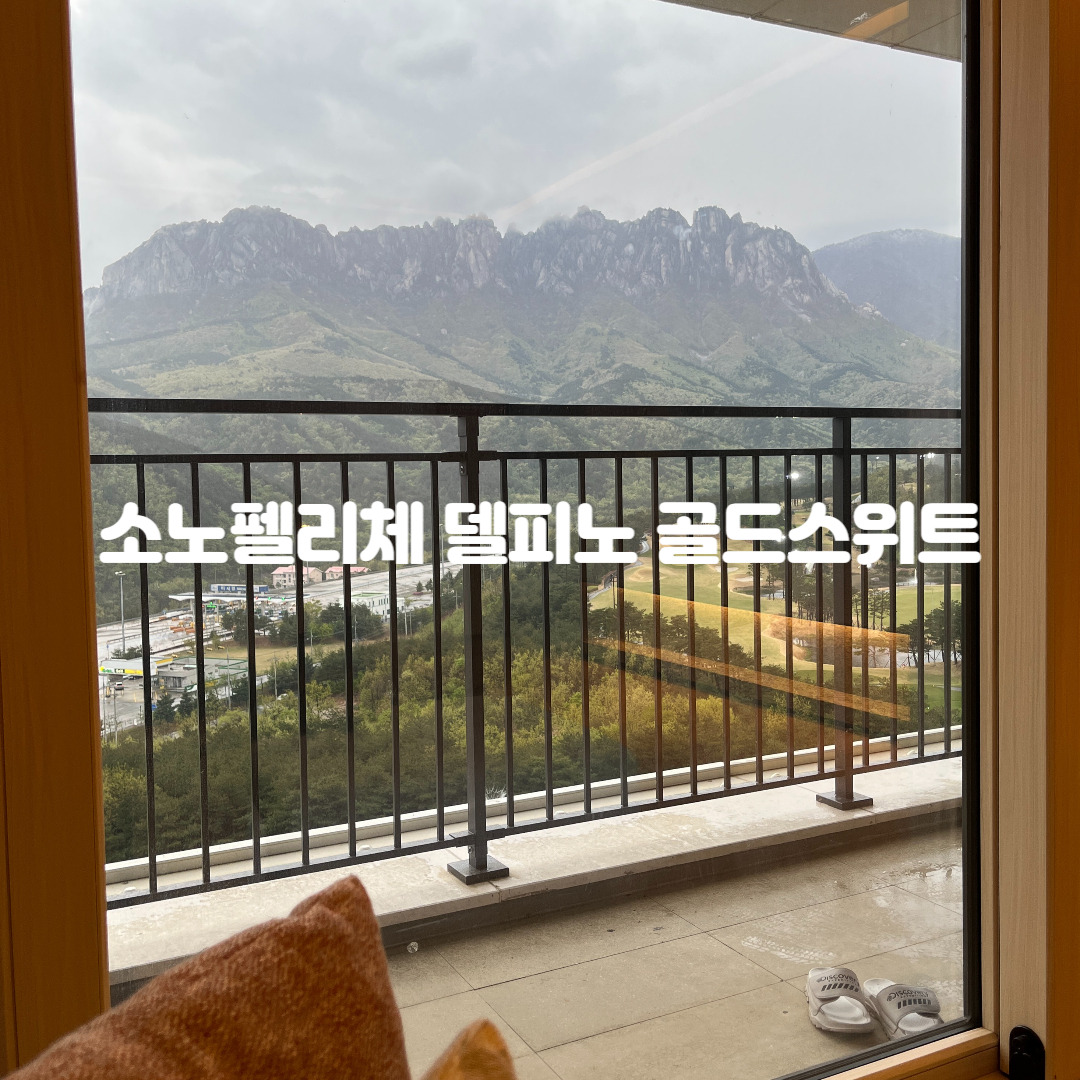 고성 소노펠리체 델피노 골드스위트 비교분석