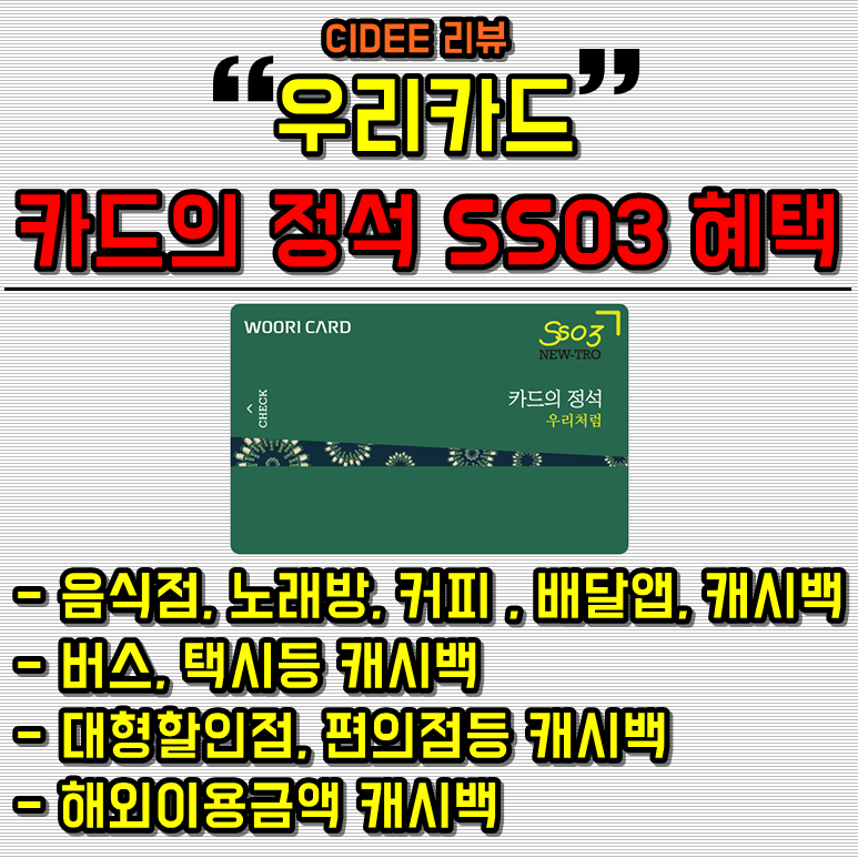 카드의 정석 SSO3 NEW TRO CHECK 혜택 장단점 - 우리 카드의정석 SSO3 뉴트로 체크 후기 피킹률