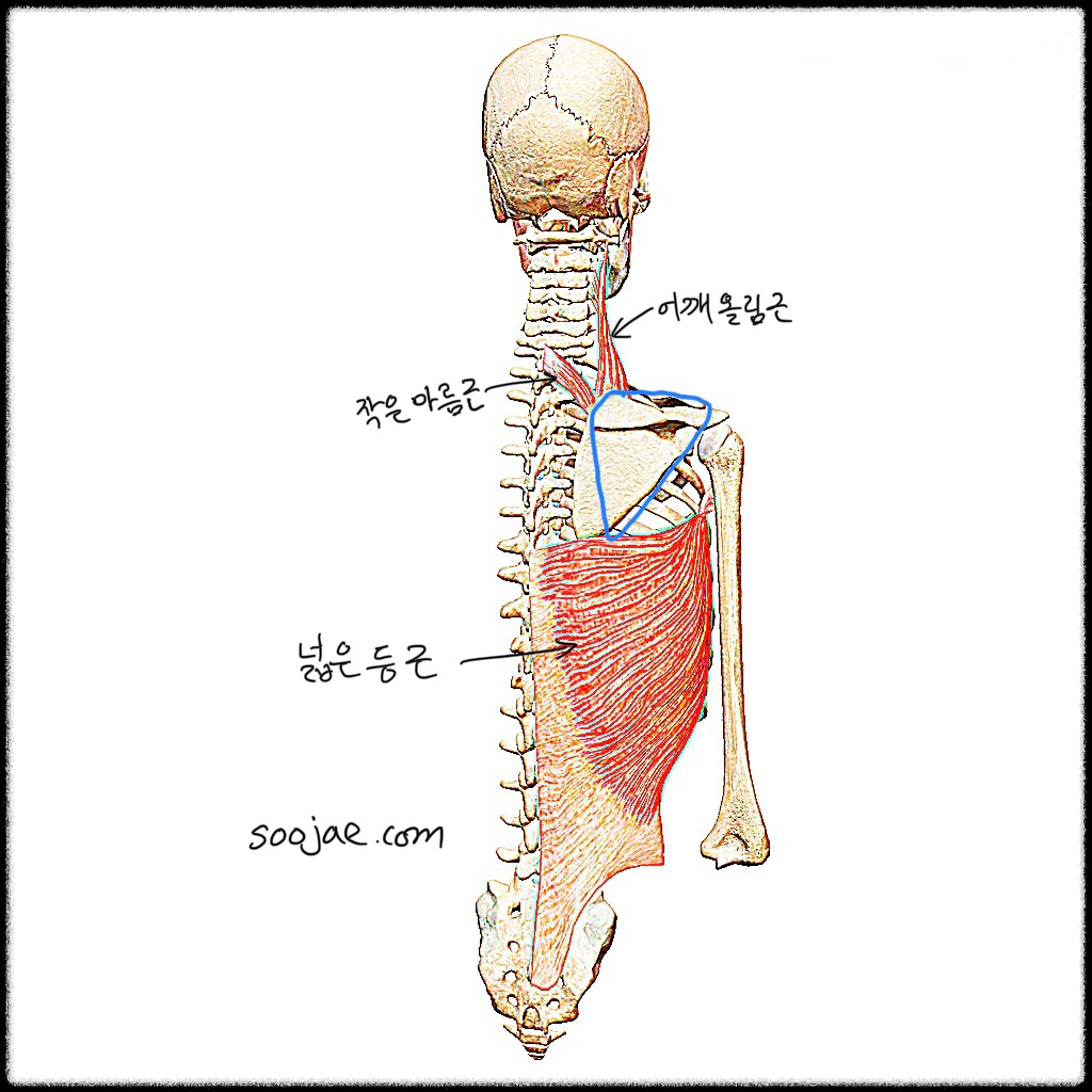 목 통증 어깨 통증 3