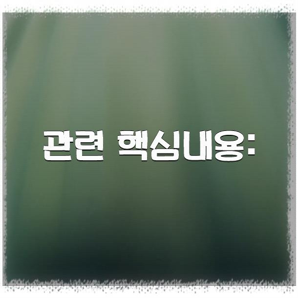 사회복지사의 나침반 핵심 가치와 윤리 원칙 이해하기 쉽게 정리하기