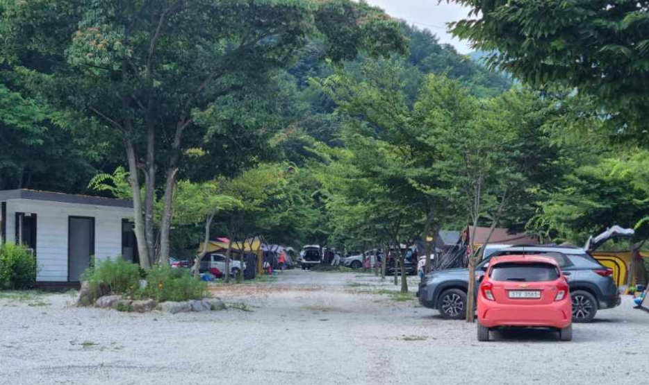 경기 포천 담터금학 캠핑장 예약 방법 애견 동반 가격 주소 시간 후기 댕댕캠핑 전국 애견동반 캠핑장
