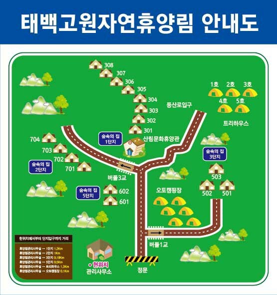 태백고원 자연휴양림 트리하우스와 숲속의 집 여행