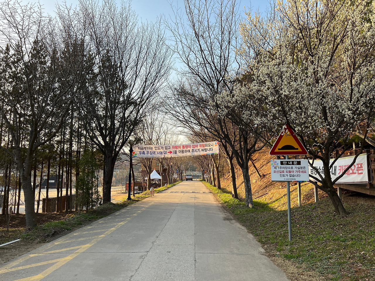 세종시 대전 근처 캠핑장 금강자연휴양림야영장 후기 대전근교 캠핑장 갈 만한 곳 아이들 놀이터 있는 캠핑장