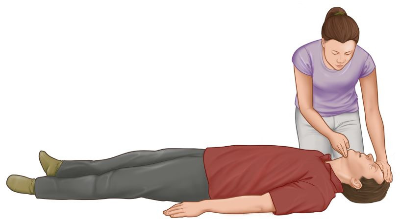 심폐소생술 CPR 순서 · 하는방법 - 메인닷컴